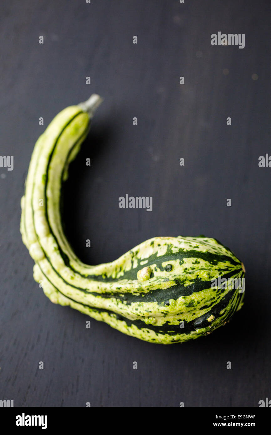 Organic miniature gourds on black background Stock Photo - Alamy