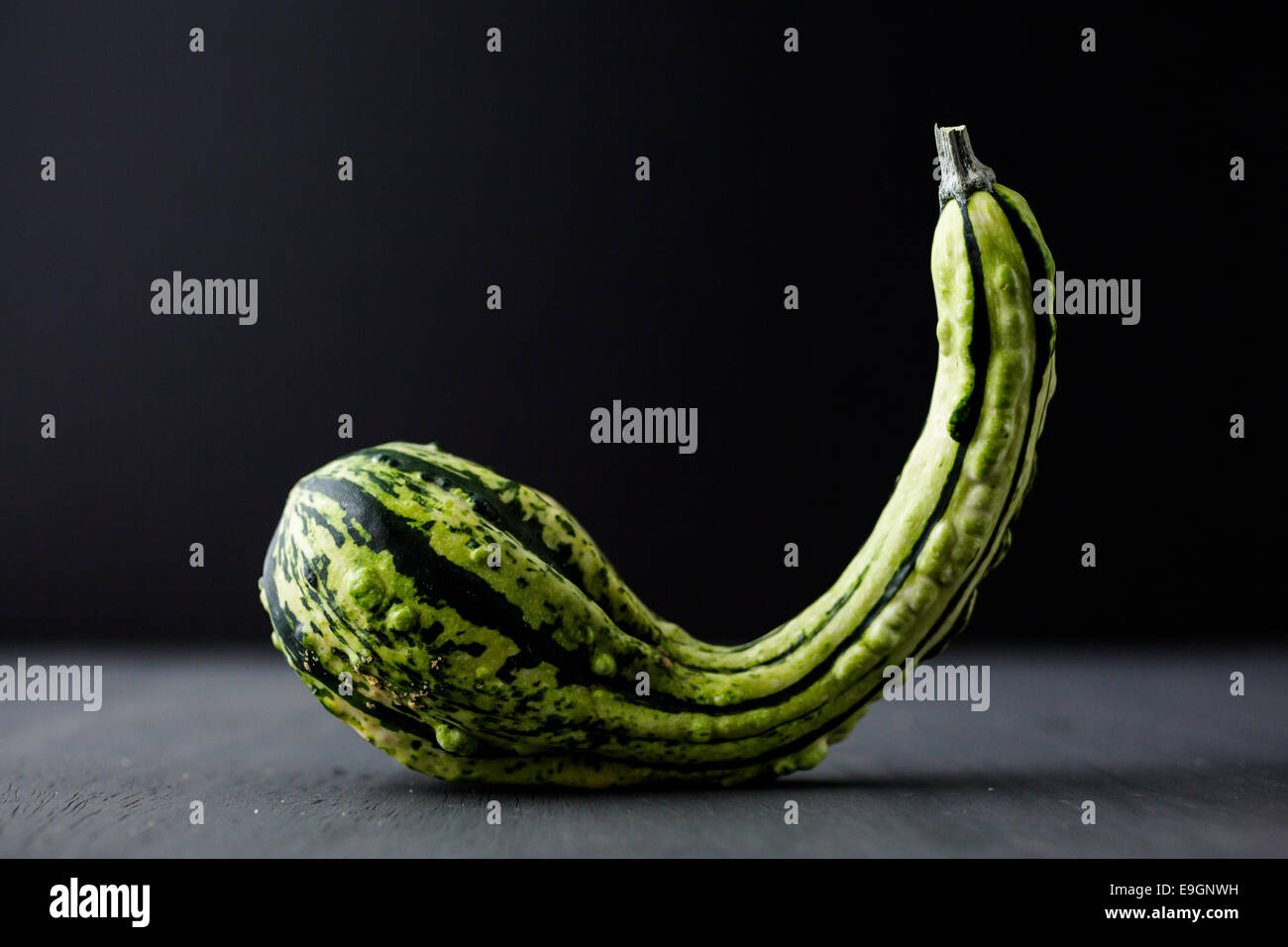 Organic miniature gourds on black background Stock Photo - Alamy