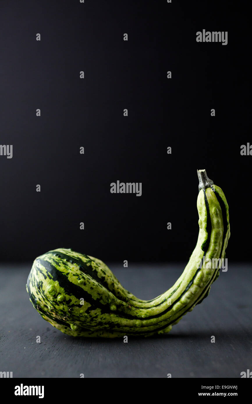 Organic miniature gourds on black background Stock Photo - Alamy