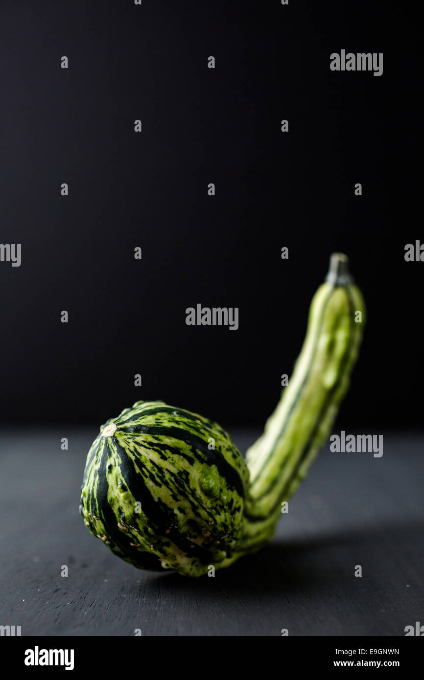 Organic miniature gourds on black background Stock Photo - Alamy