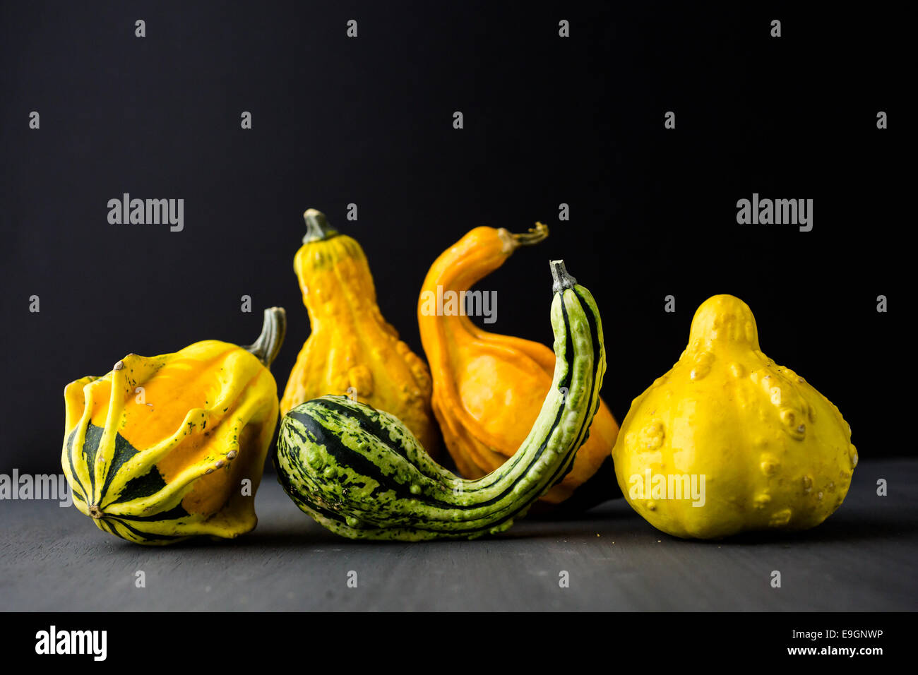 Organic miniature gourds on black background Stock Photo - Alamy
