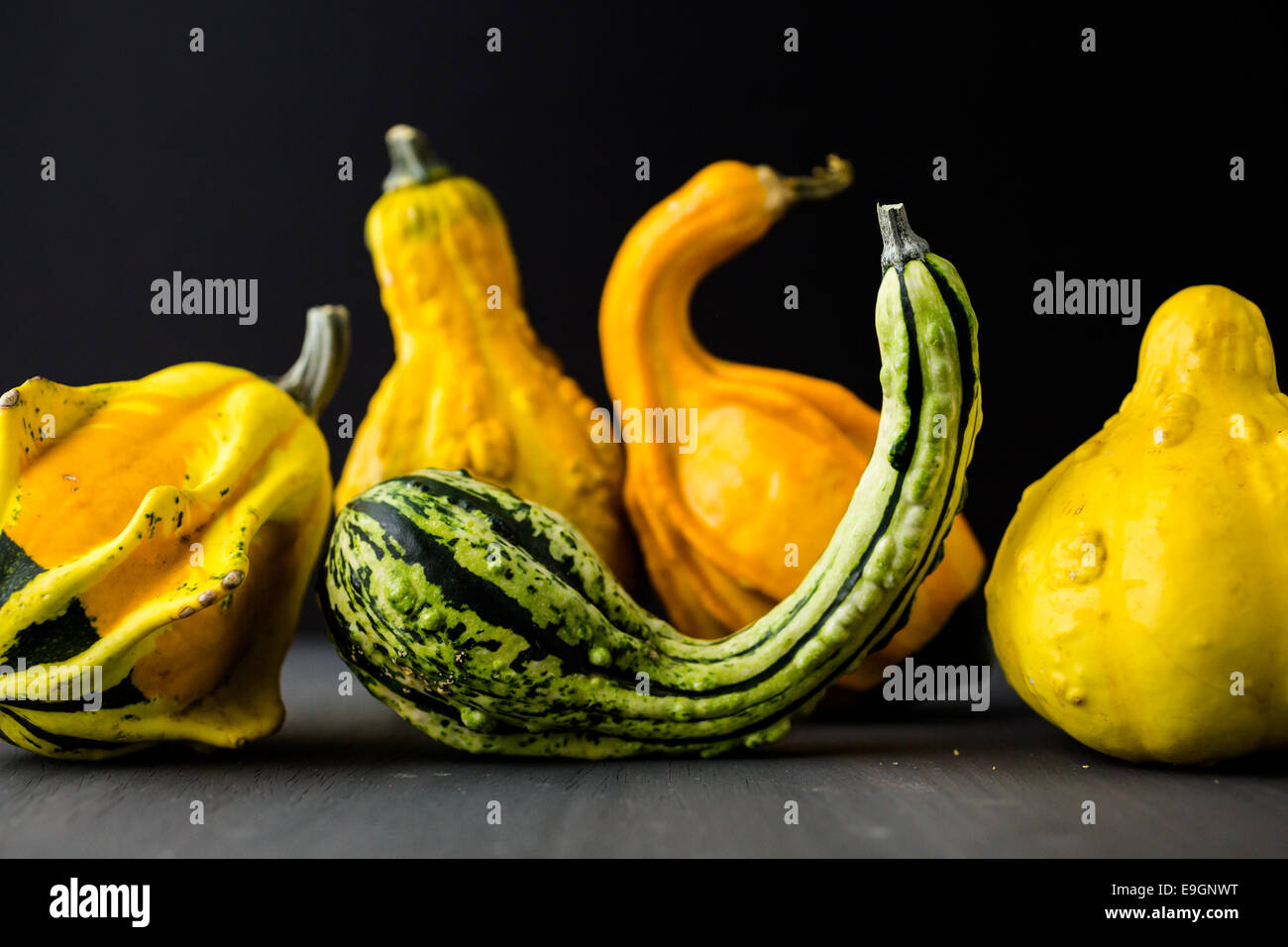 Organic miniature gourds on black background Stock Photo - Alamy