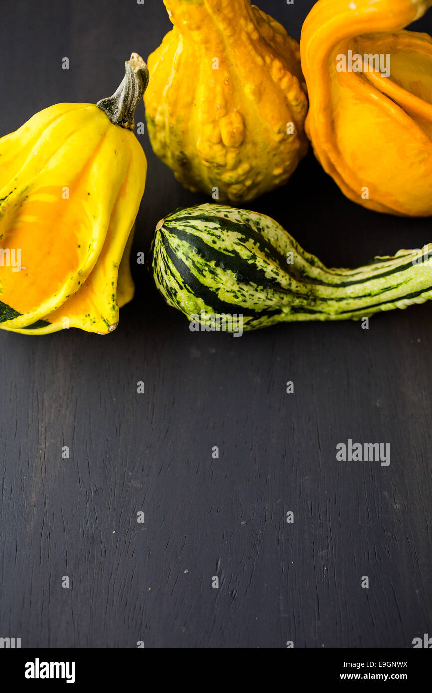 Organic miniature gourds on black background Stock Photo - Alamy