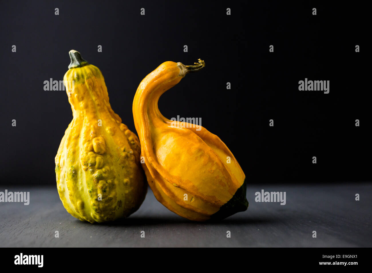 Organic miniature gourds on black background Stock Photo - Alamy