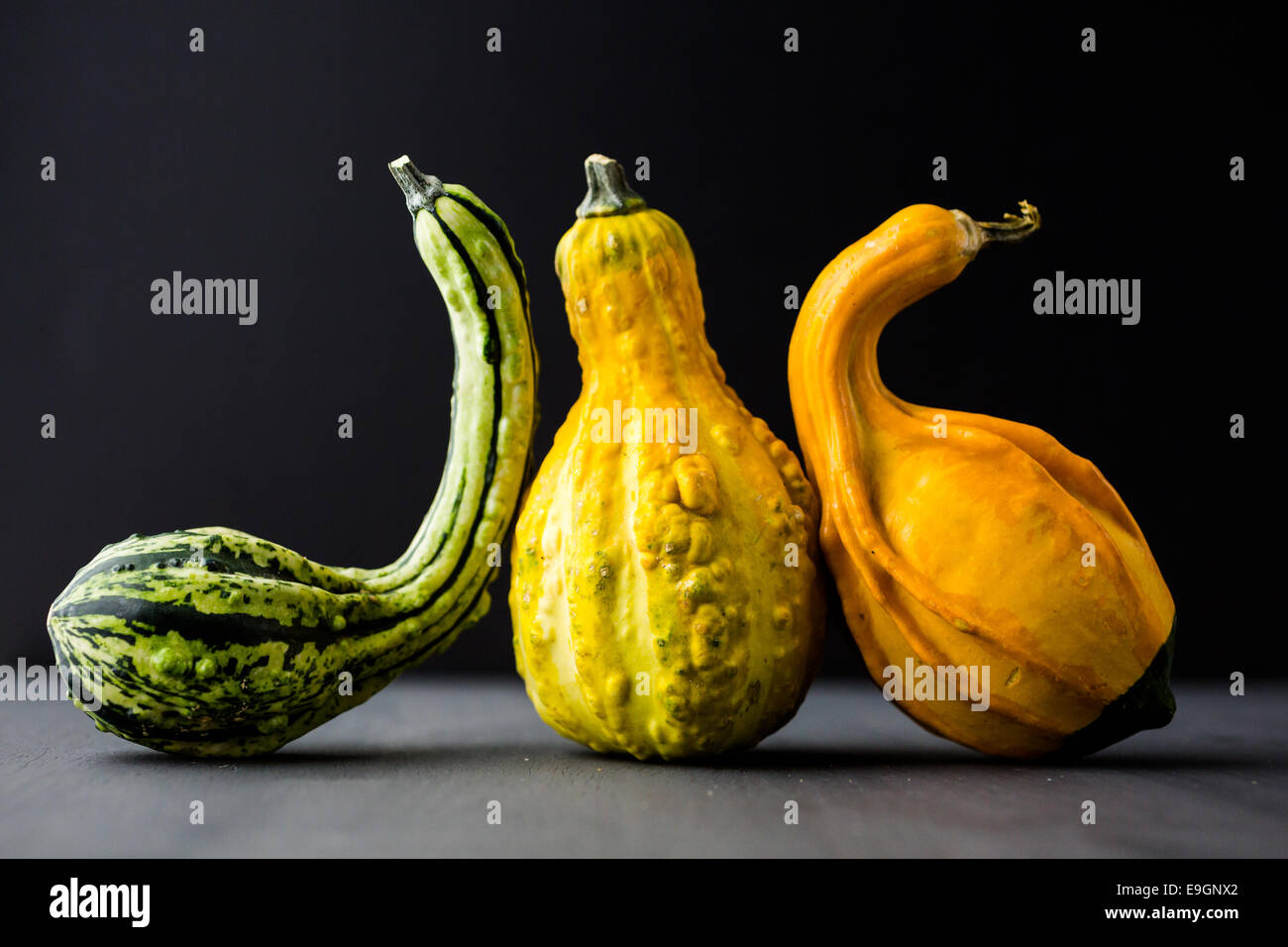 Organic miniature gourds on black background Stock Photo - Alamy