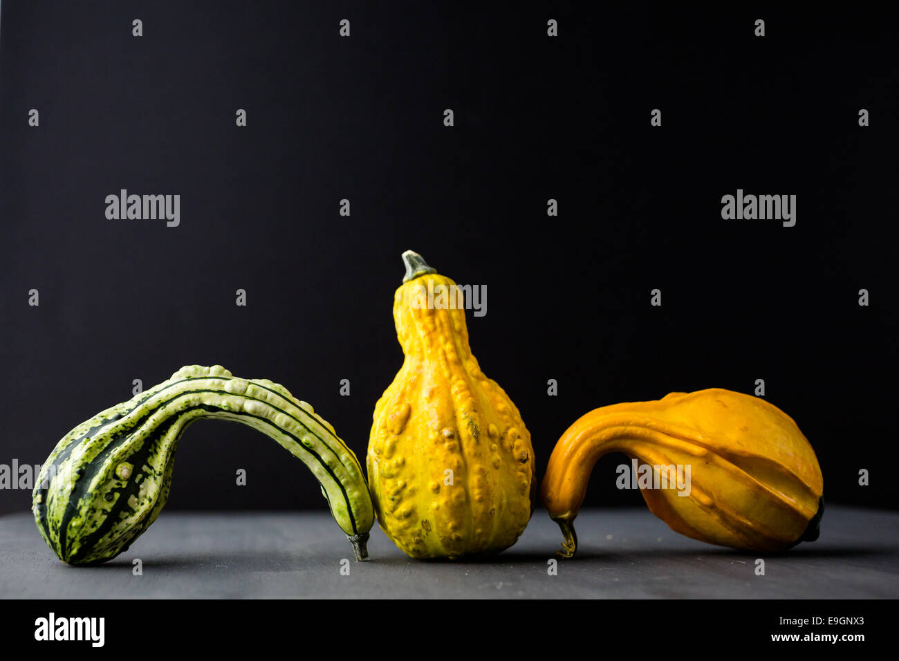 Organic miniature gourds on black background Stock Photo - Alamy