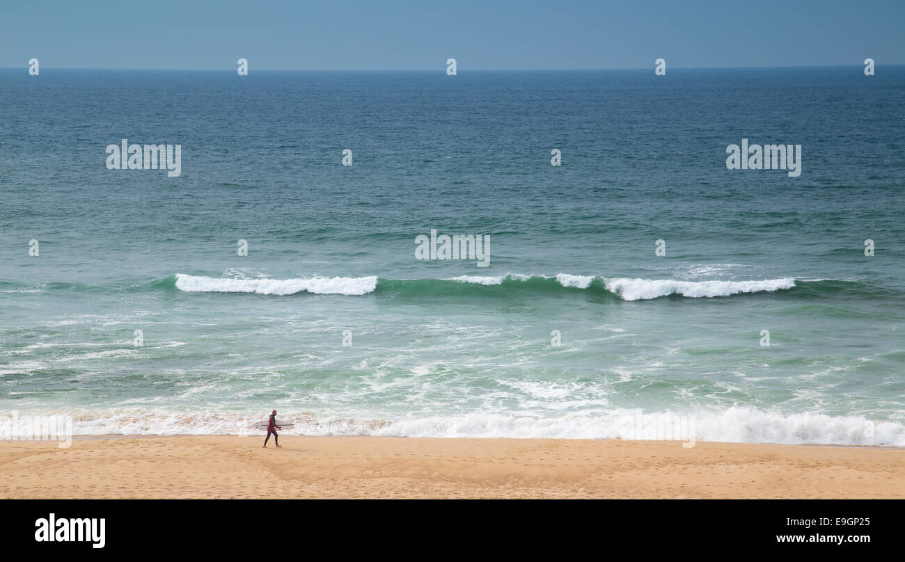 Surfer on beach with wave breaking behind Stock Photo - Alamy