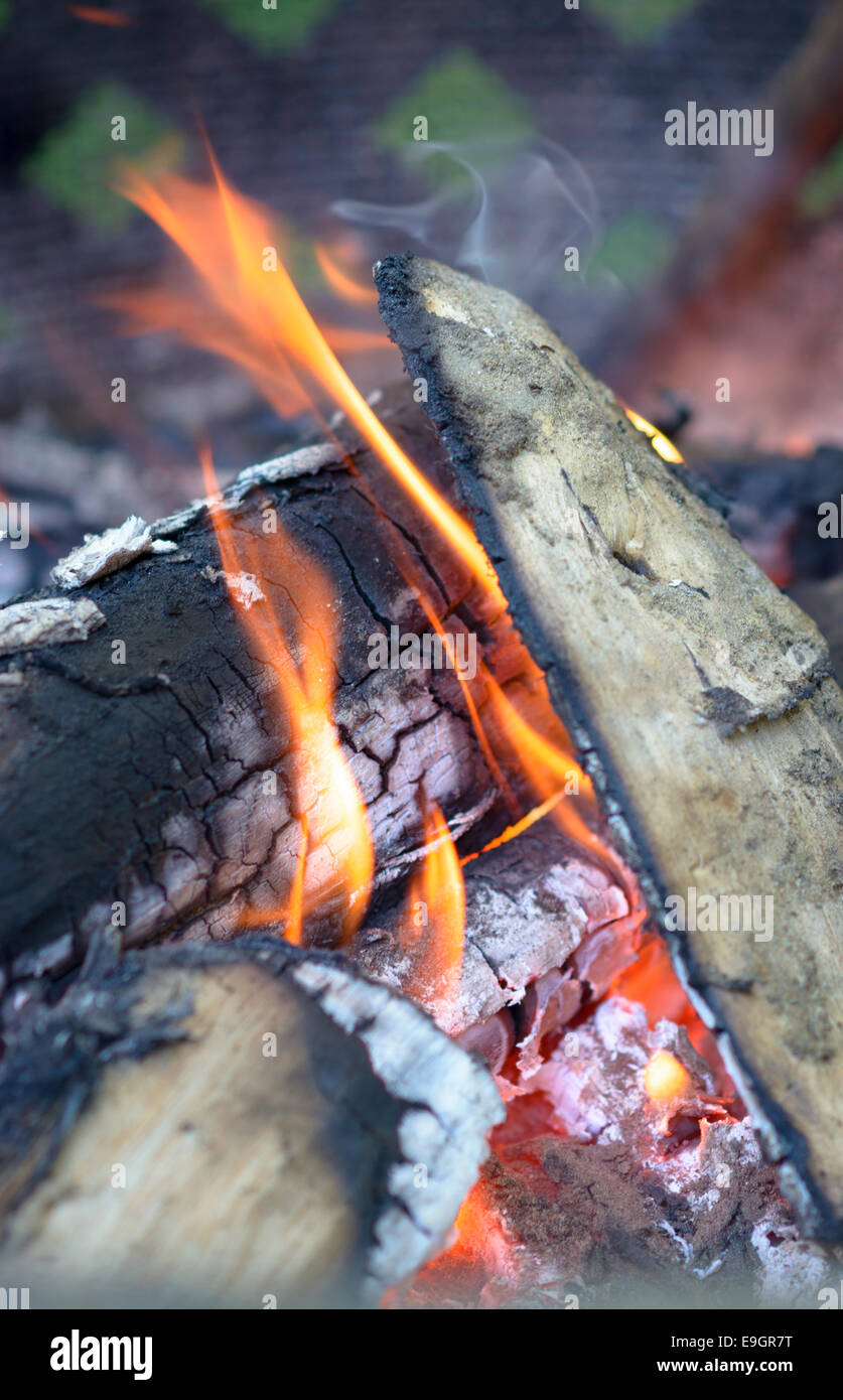 Low burning flame of a campfire Stock Photo - Alamy