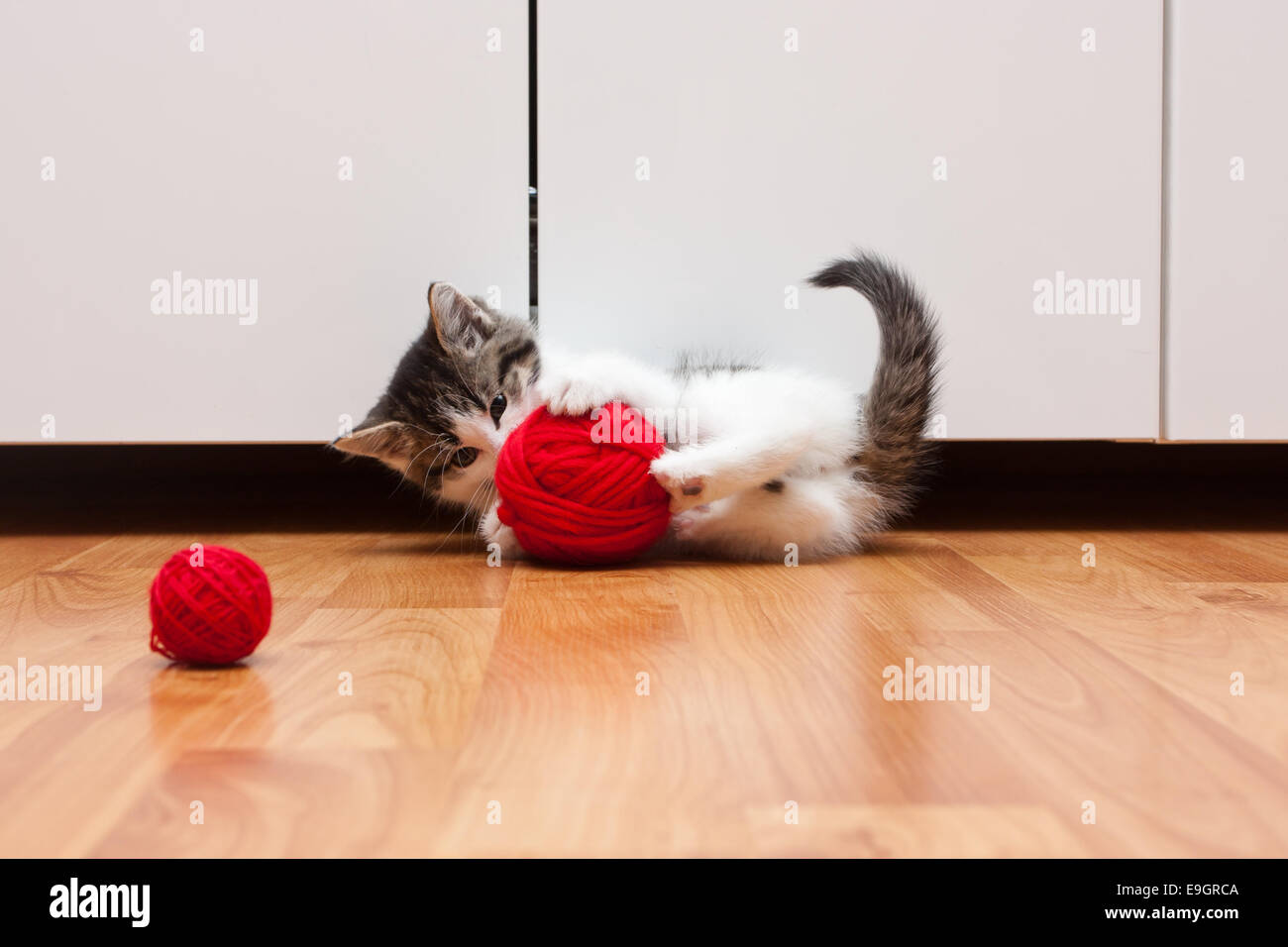 Kitten playing wool ball hi-res stock photography and images - Alamy