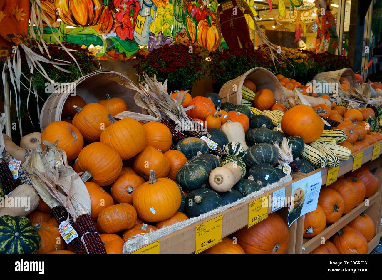 Pumpkins outside grocery store hi-res stock photography and images - Alamy