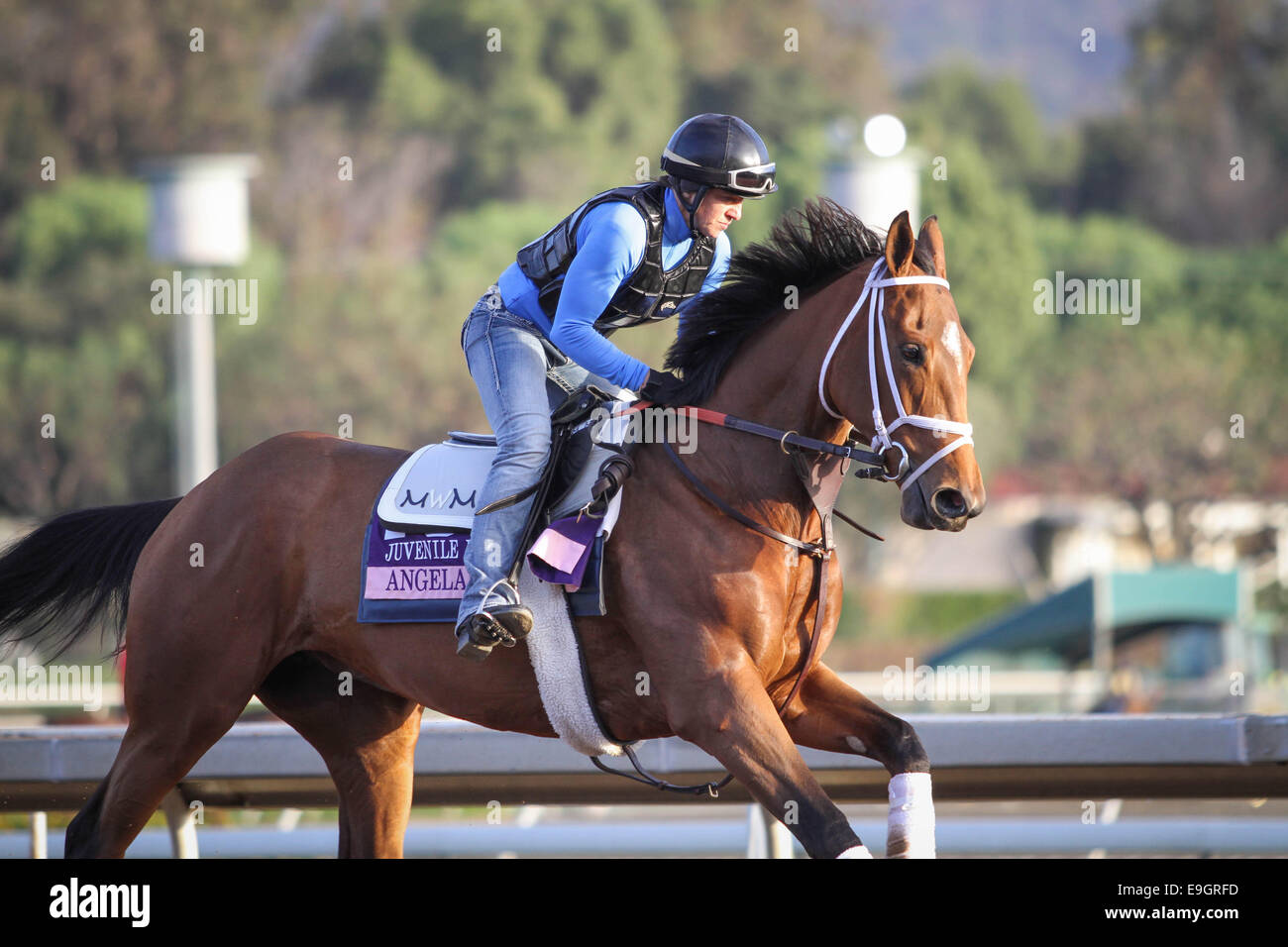 Arcadia, CA, USA. 27th Oct, 2014. Angela Renee exercises in preparation ...
