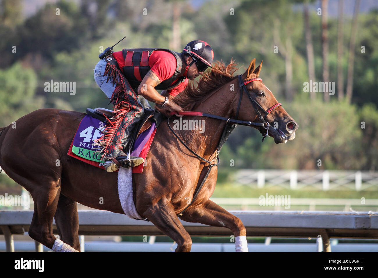 Kaigun hi-res stock photography and images - Alamy