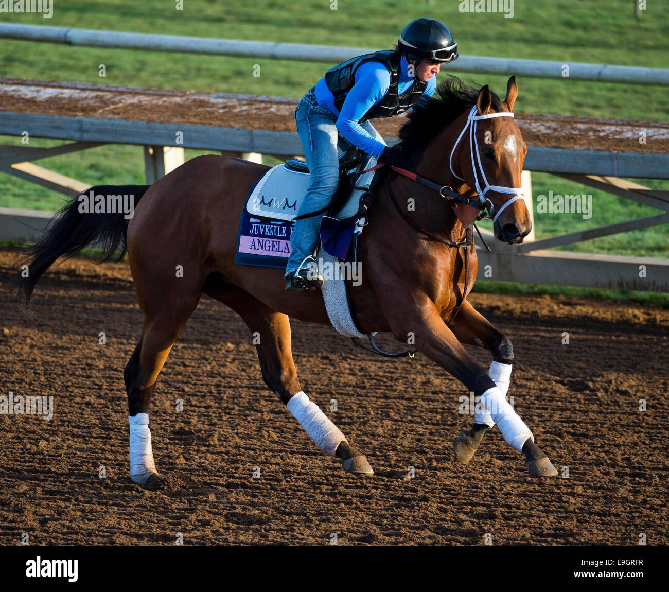 Angela todd hi-res stock photography and images - Alamy