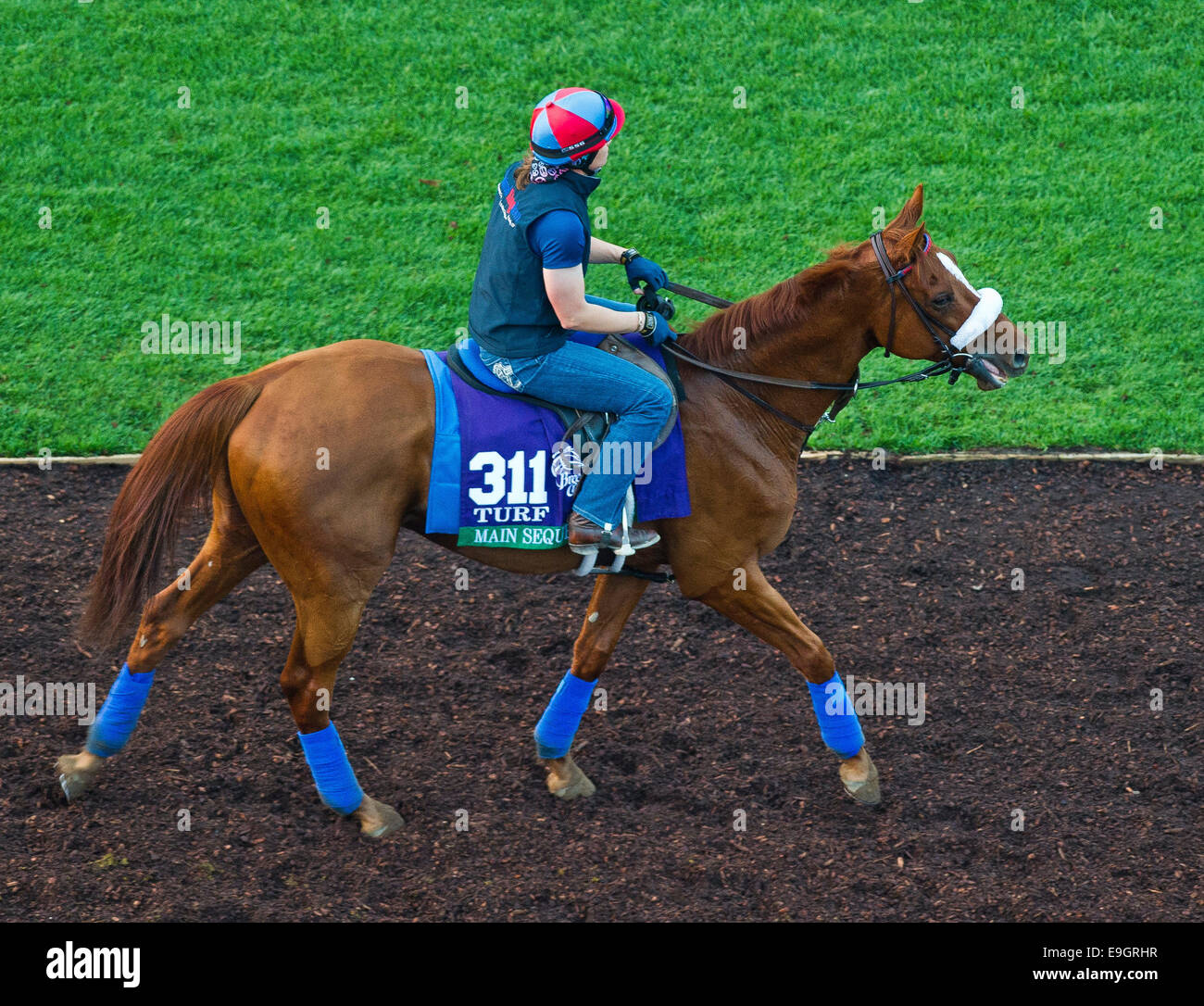 Horse motion sequence hi-res stock photography and images - Alamy