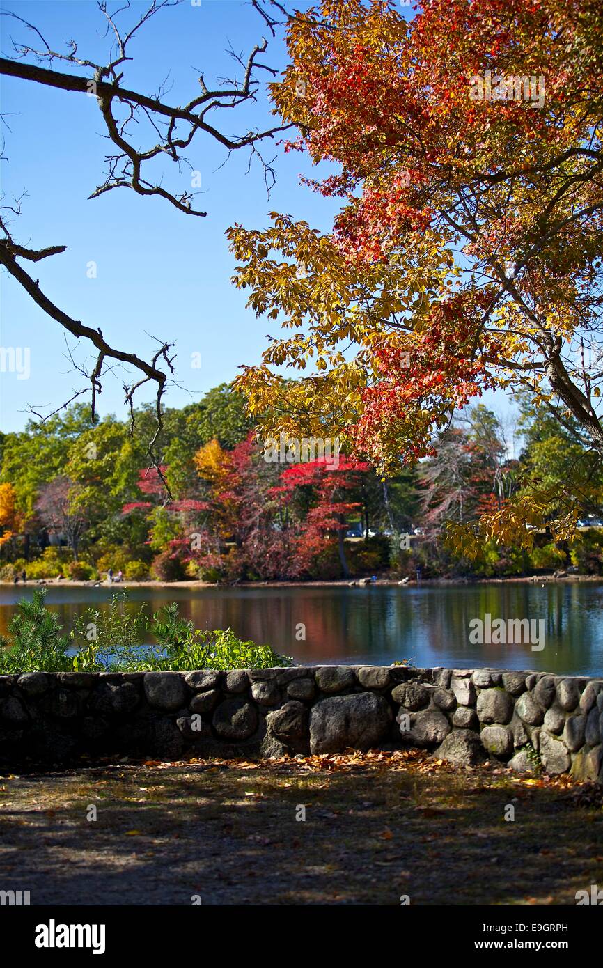 Fall foliage in Massachusetts Stock Photo - Alamy