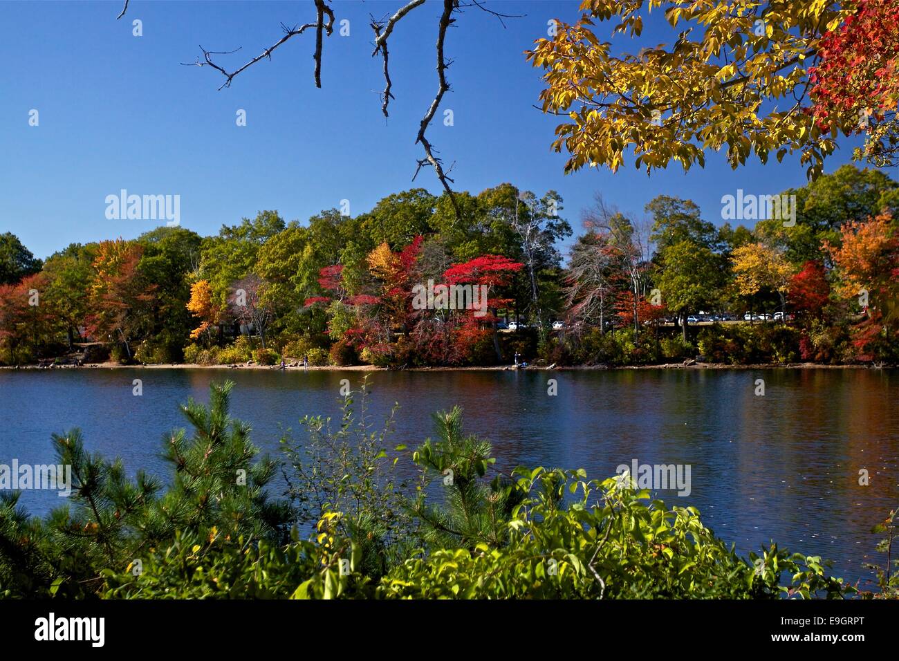 Fall foliage in Massachusetts Stock Photo - Alamy