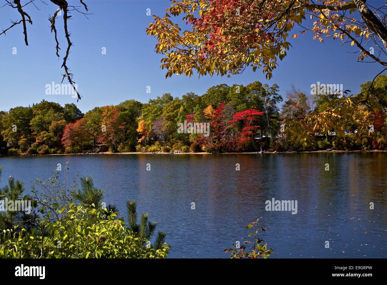 Fall foliage in Massachusetts Stock Photo - Alamy