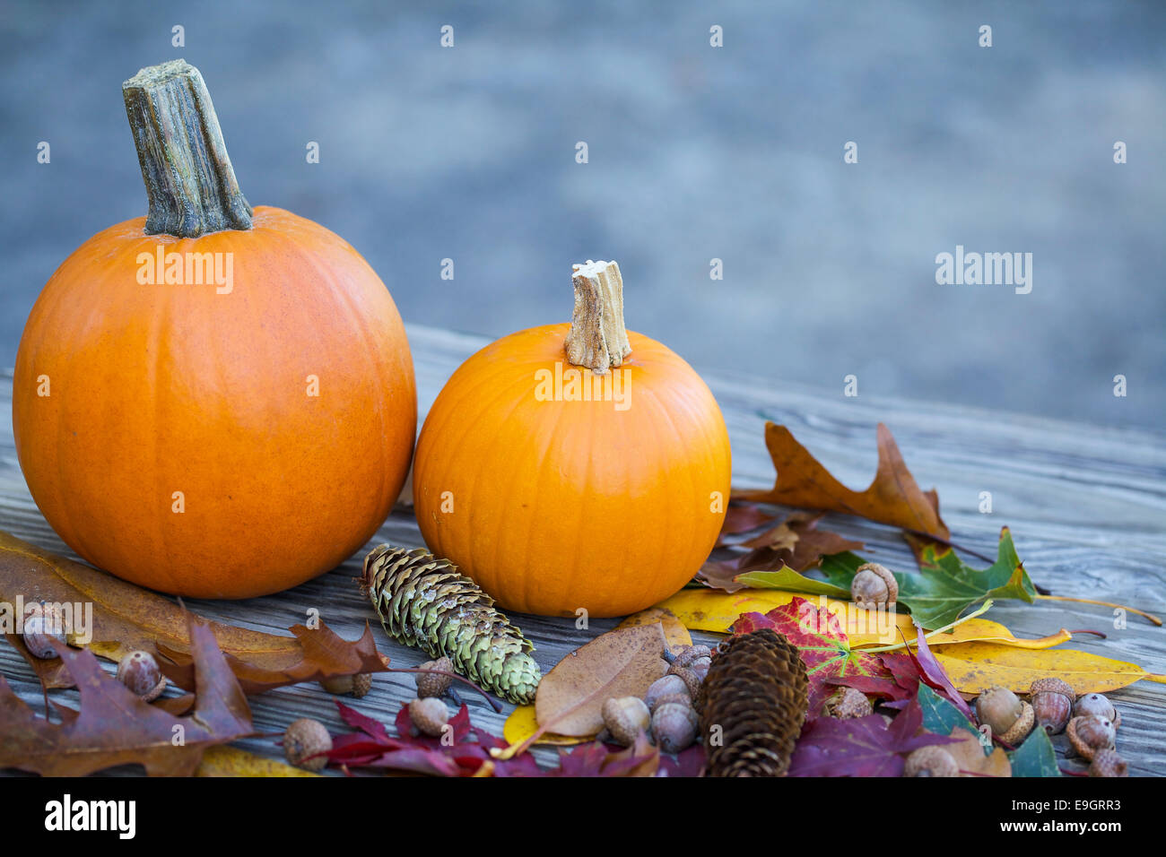 Autumn pumpkins decorations hi-res stock photography and images - Alamy