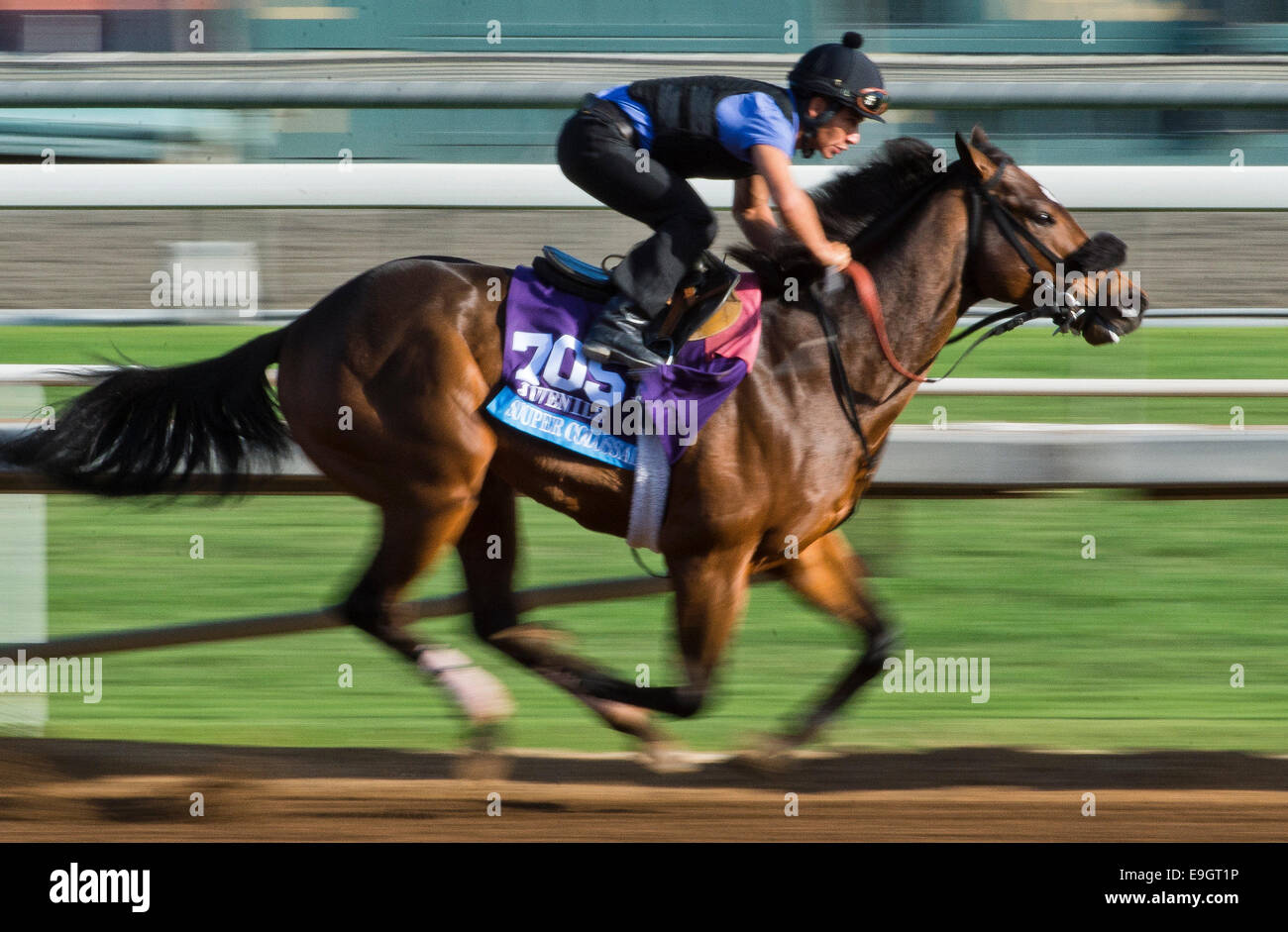 Arcadia, CA, USA. 27th Oct, 2014. Souper Colossal, trained by Eddie ...