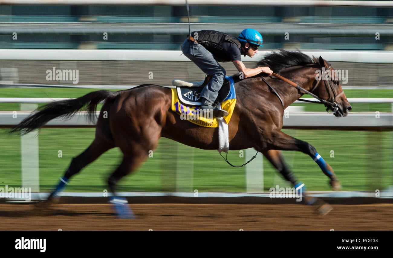 Arcadia, CA, USA. 27th Oct, 2014. Footbridge, trained by Eoin Harty ...