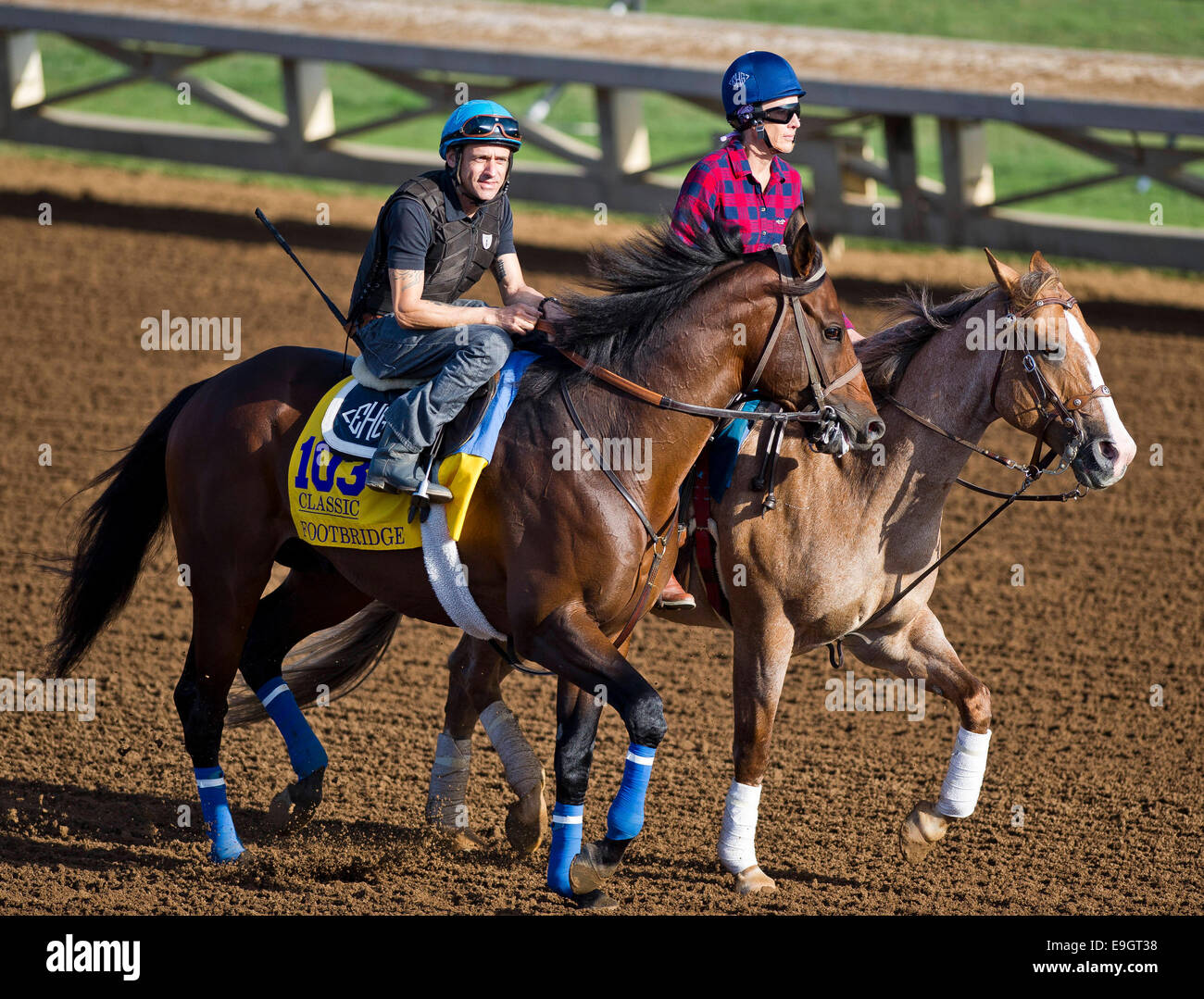 Arcadia, CA, USA. 27th Oct, 2014. Footbridge, trained by Eoin Harty ...