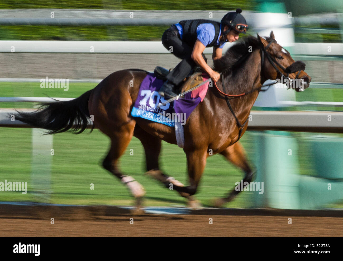 Arcadia, CA, USA. 27th Oct, 2014. Souper Colossal, trained by Eddie ...