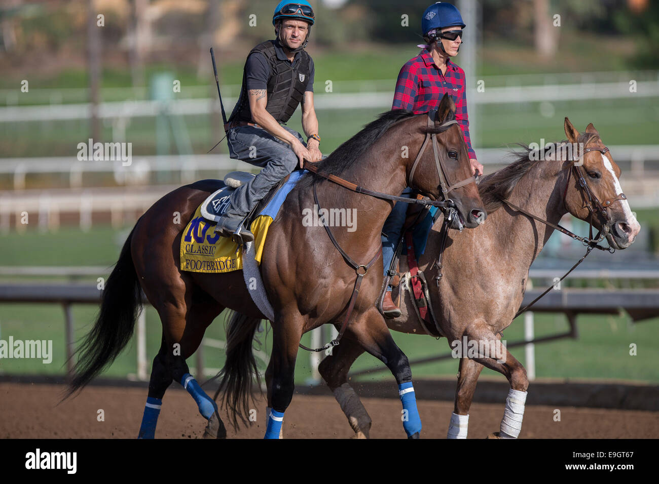 Arcadia, CA, USA. 27th October, 2014. Footbridge, trained by Eoin Harty ...