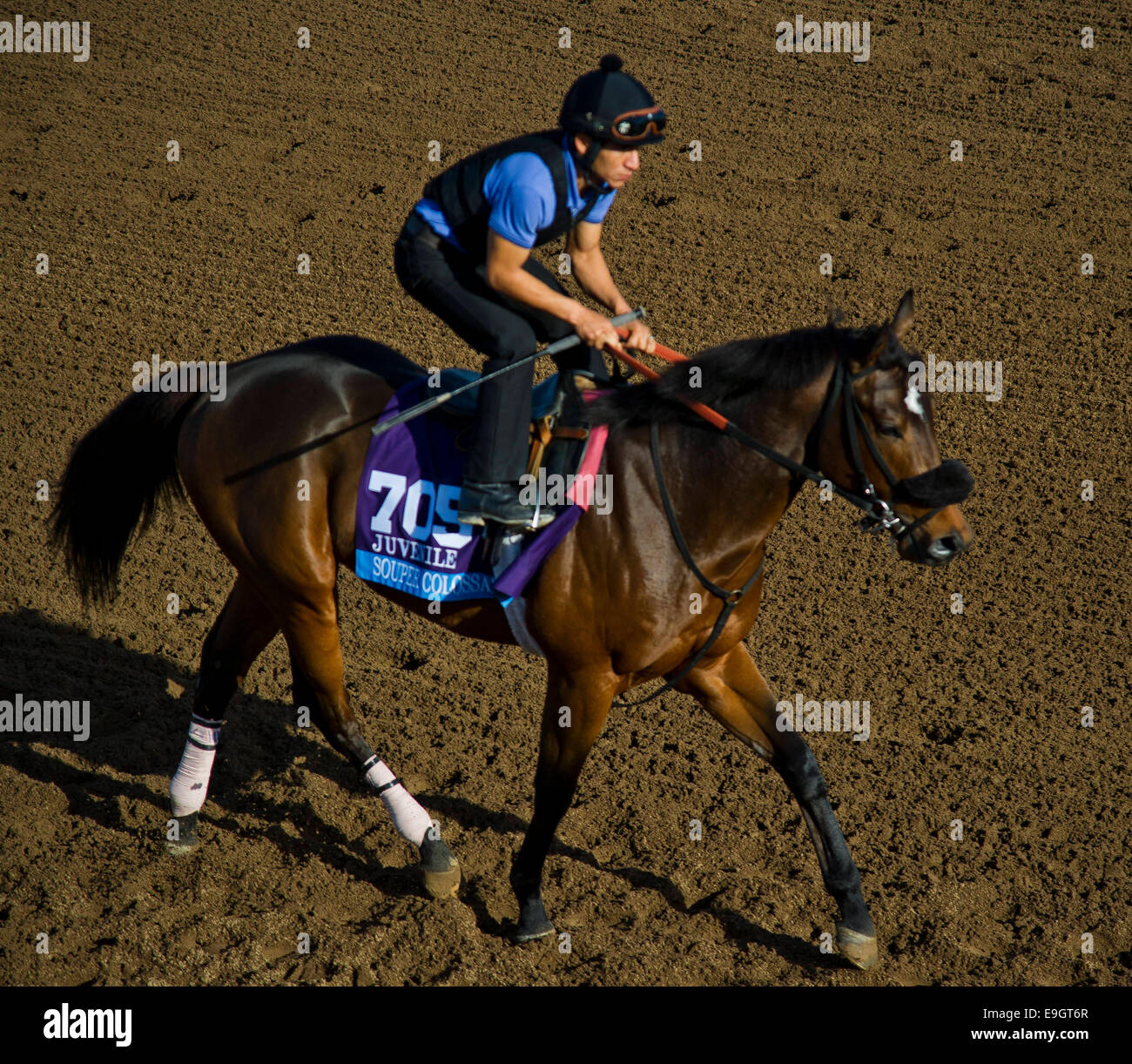 Arcadia, CA, USA. 27th Oct, 2014. Souper Colossal, trained by Eddie ...