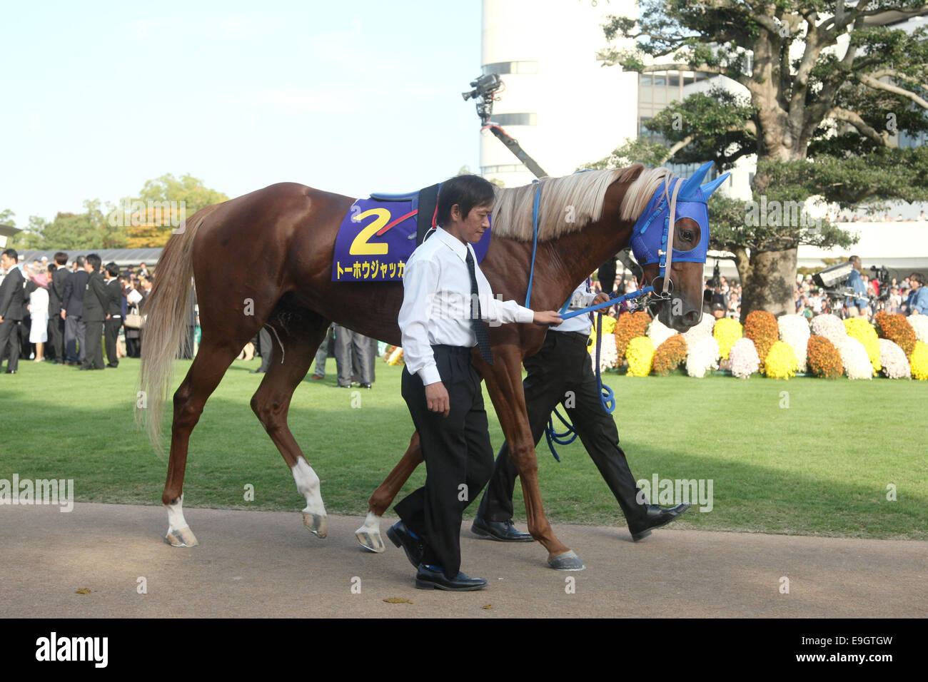 Kyoto, Japan. 26th Oct, 2014. Toho Jackal Horse Racing : Toho Jackal is ...