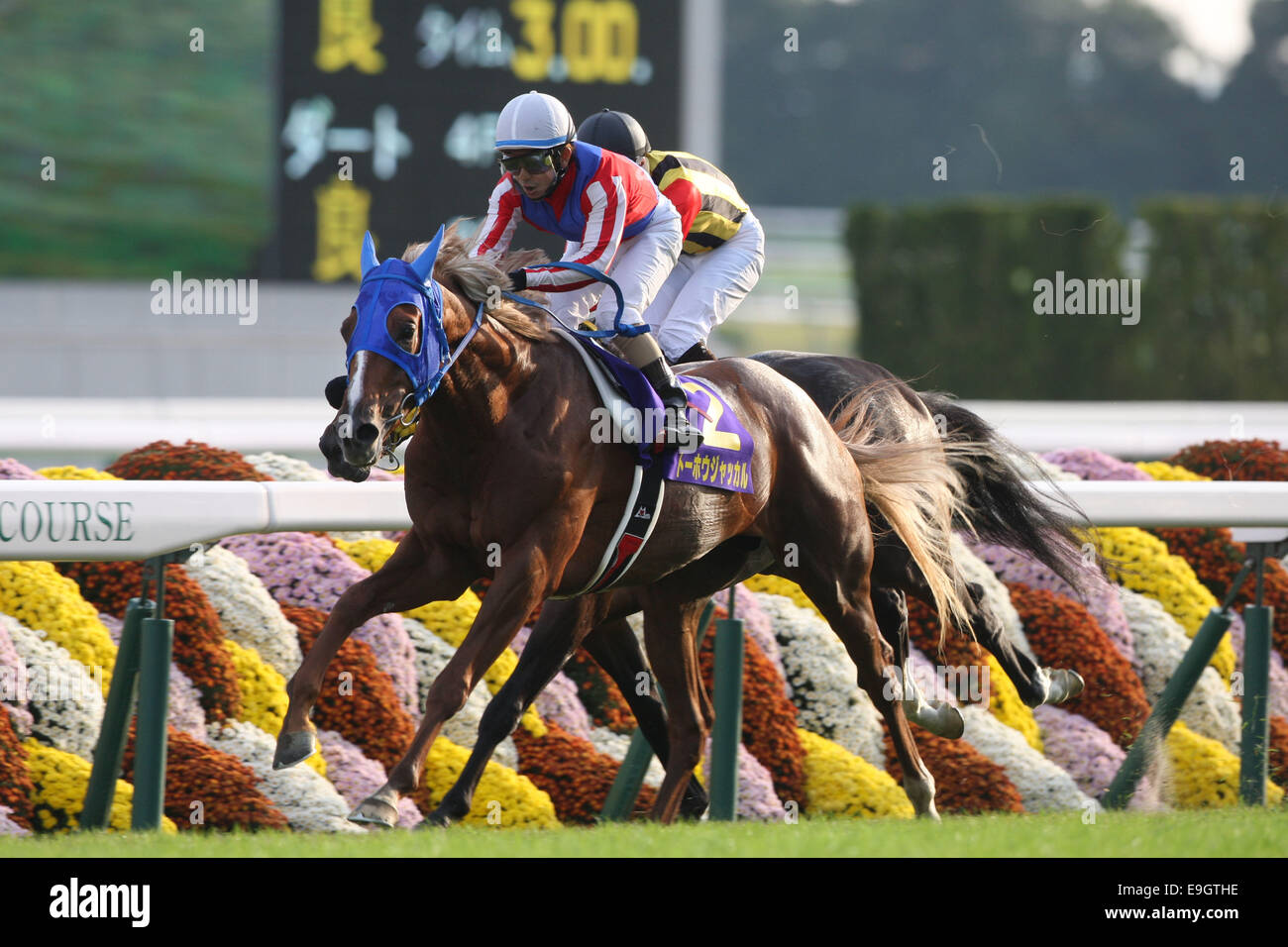 Kyoto, Japan. 26th Oct, 2014. (L-R) Toho Jackal (Manabu Sakai), Sounds ...