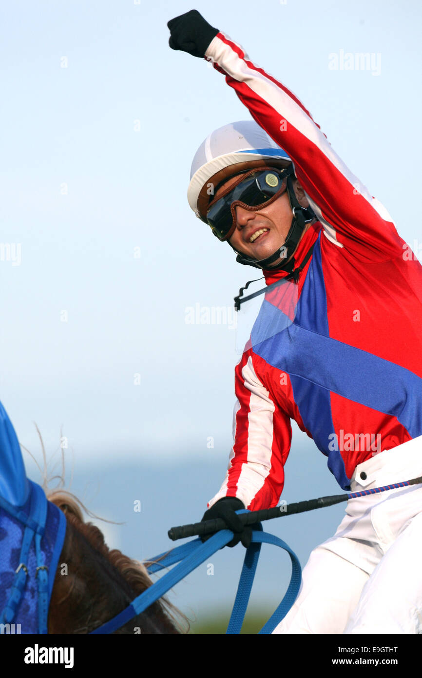 Horse jackal hi-res stock photography and images - Alamy