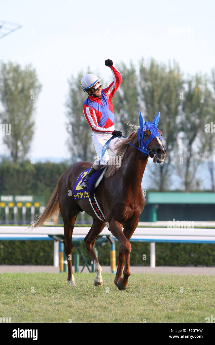 Kyoto, Japan. 26th Oct, 2014. Toho Jackal (Manabu Sakai) Horse Racing ...