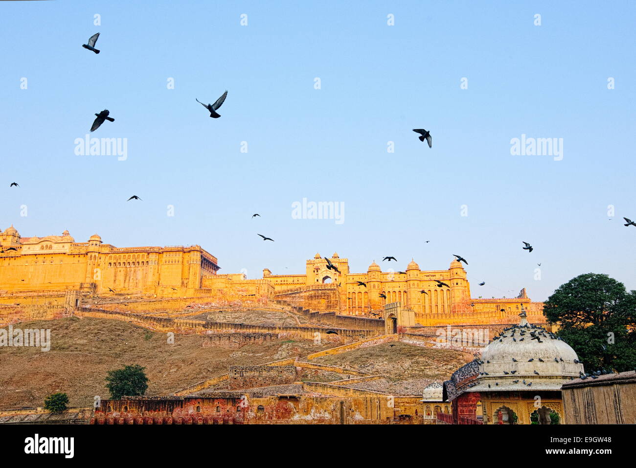 View of Amber fort at early morning Stock Photo - Alamy