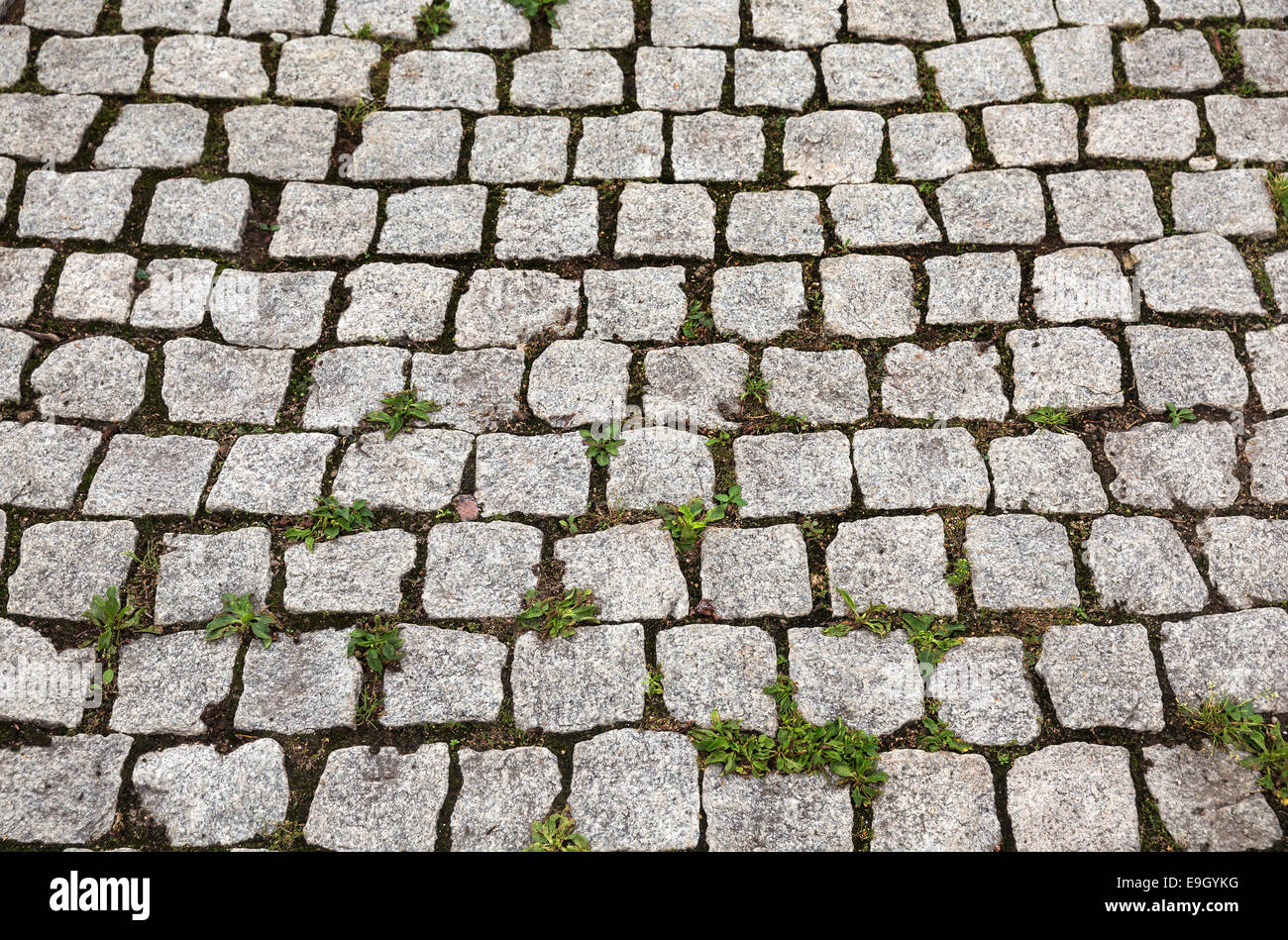 Vintage stone street road pavement texture Stock Photo - Alamy