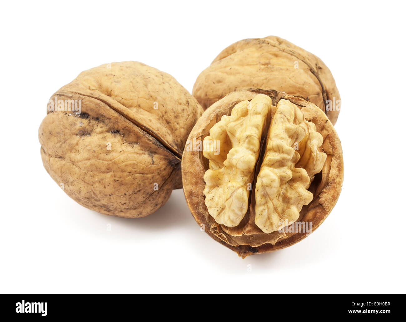 White nutshell hi-res stock photography and images - Alamy