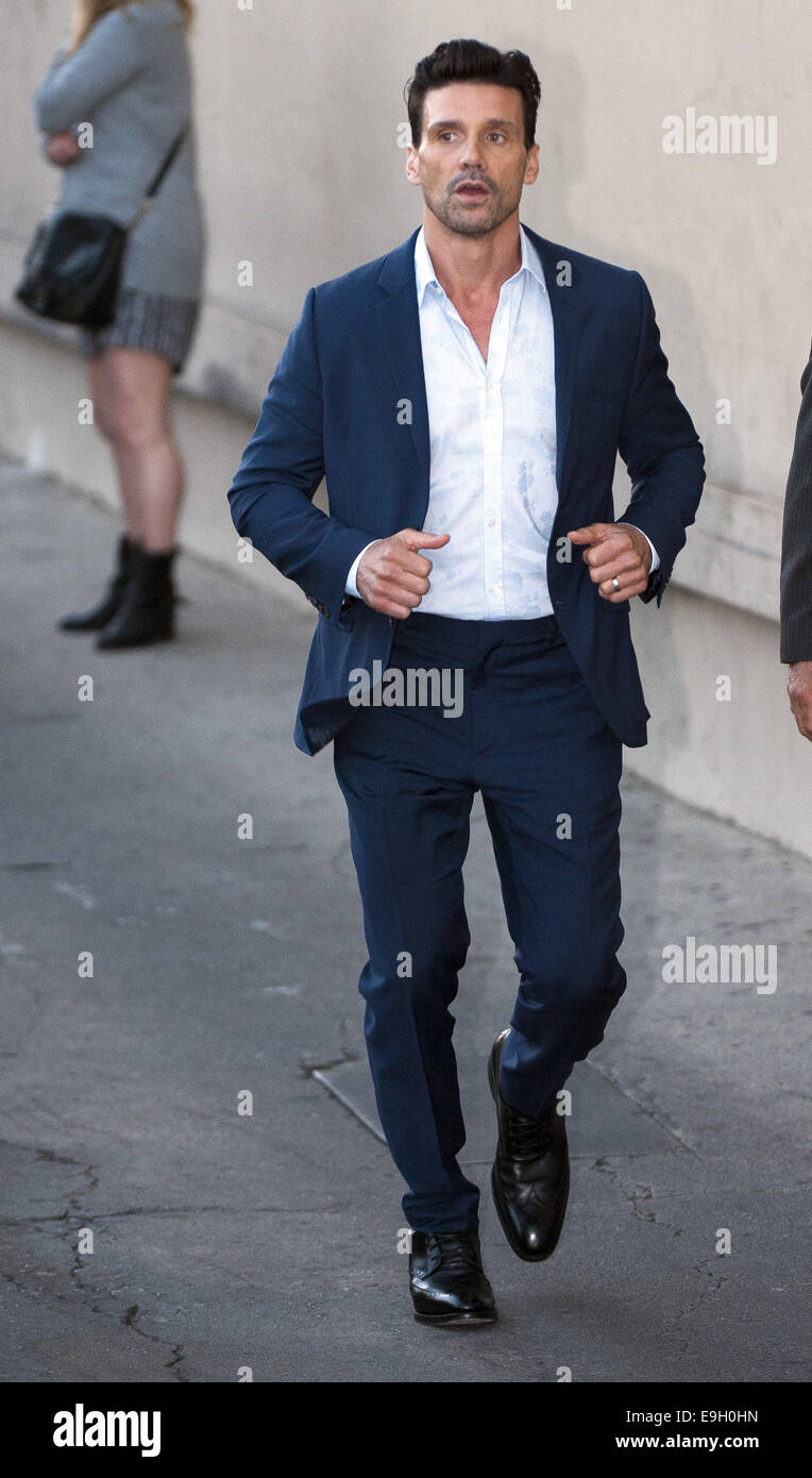 Hollywood, California, USA. 27th Oct, 2014. American actor Frank Grillo ...