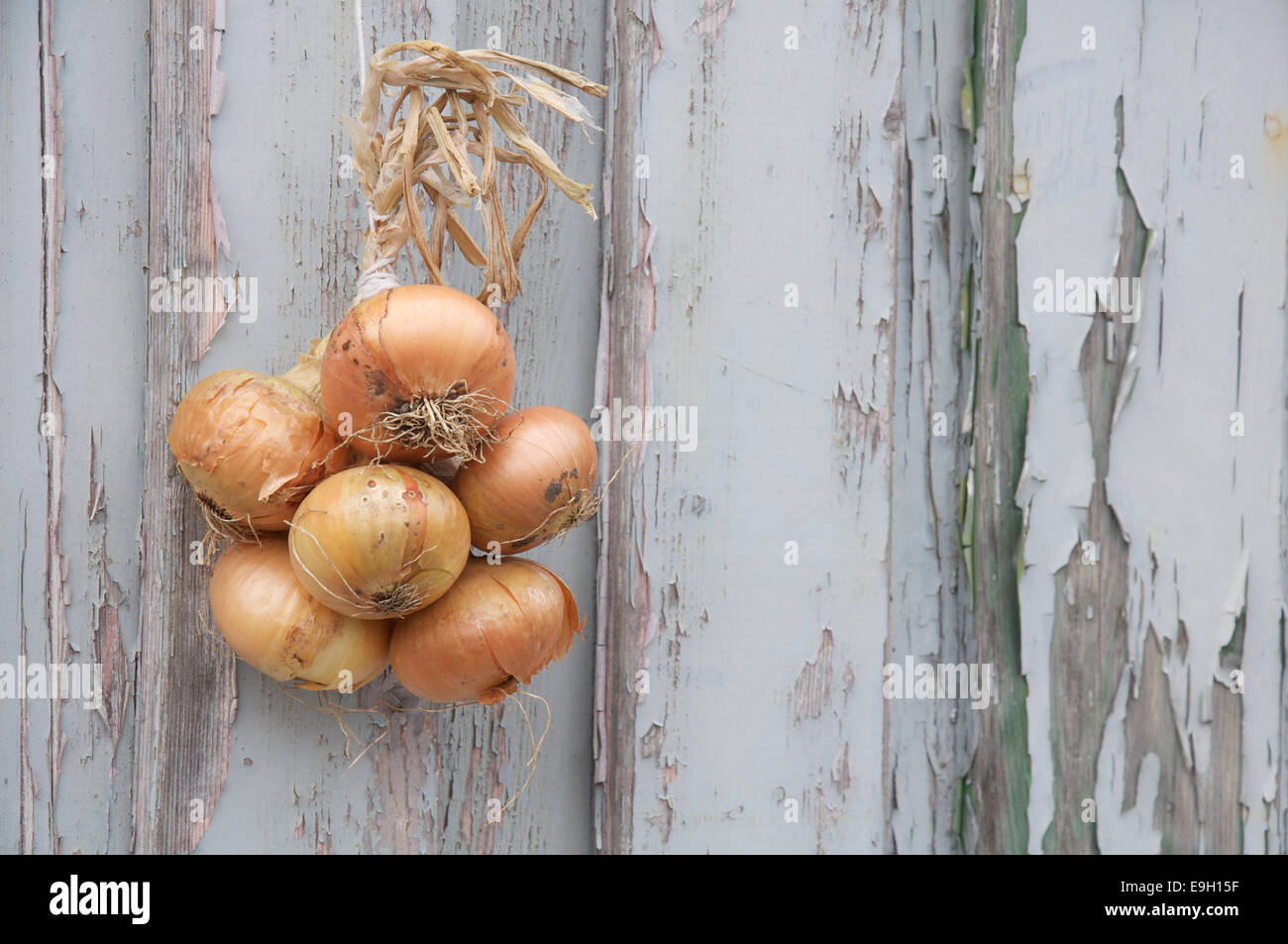 Strings Of Onions Stock Photos & Strings Of Onions Stock Images - Alamy