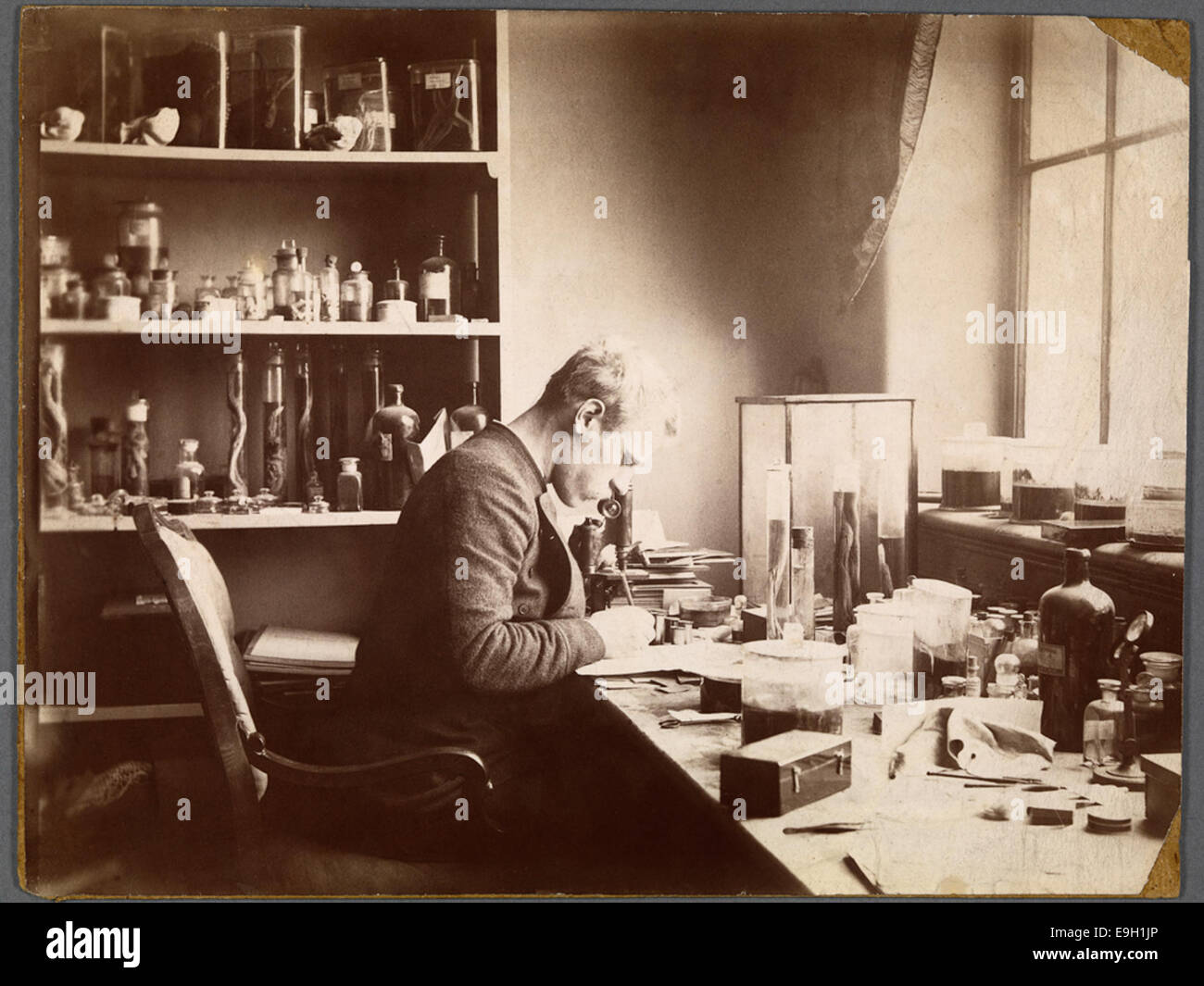 Fridtjof Nansen, the Norwegian explorer and scientist, is pictured ...