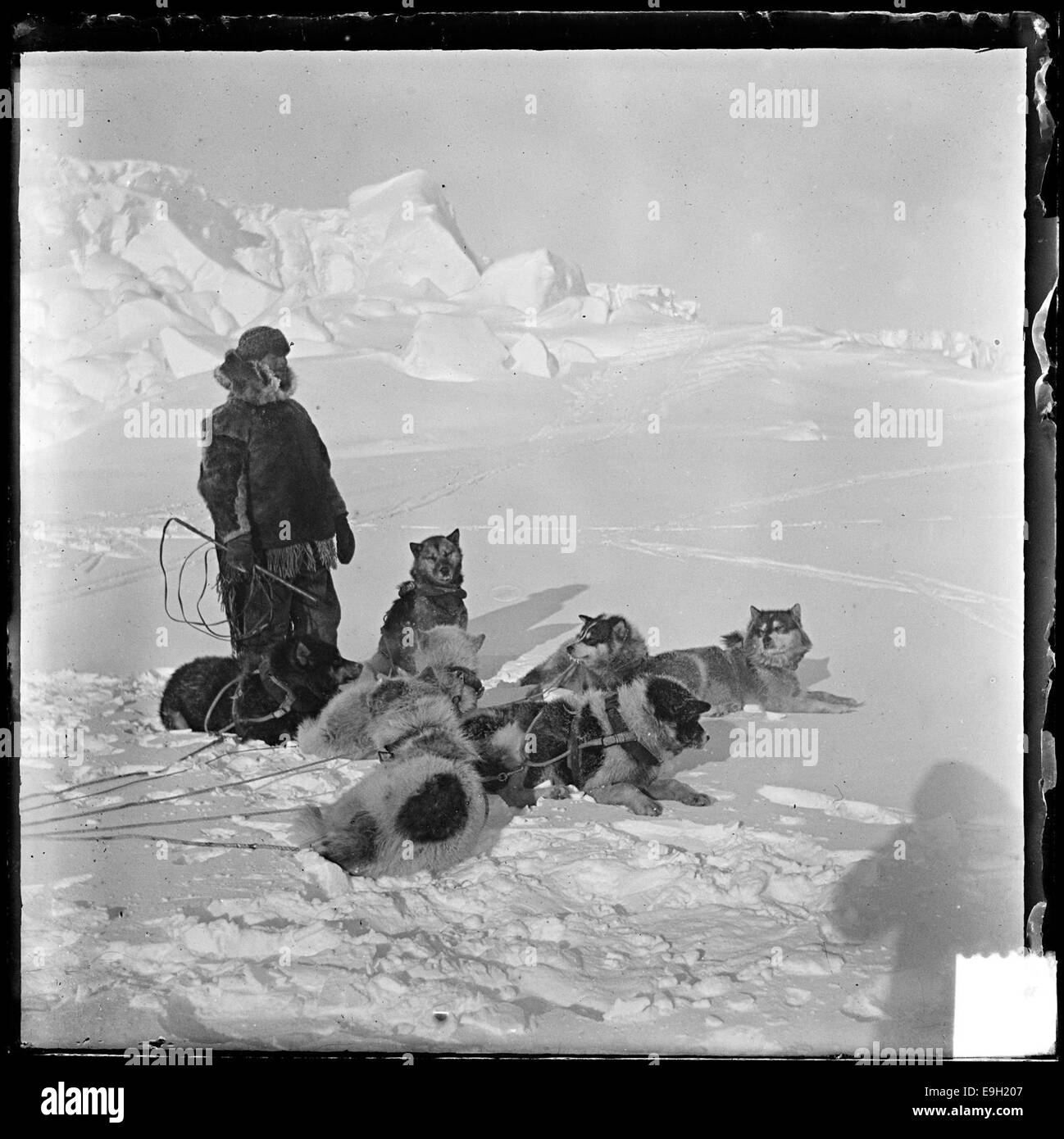 This image shows Helmer Hanssen with a dog sled during a hunting trip ...