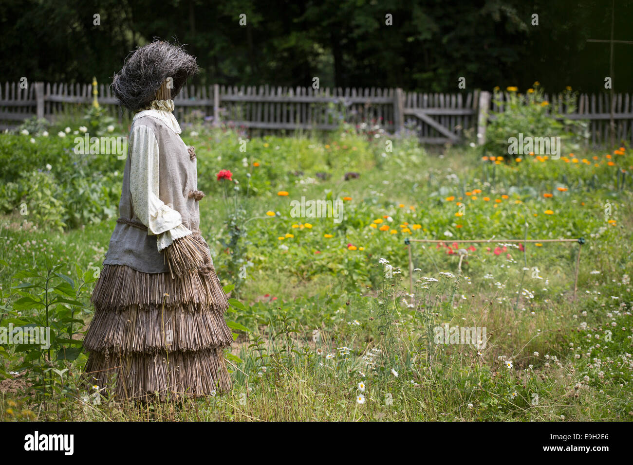 Human figure standing full length hi-res stock photography and images ...
