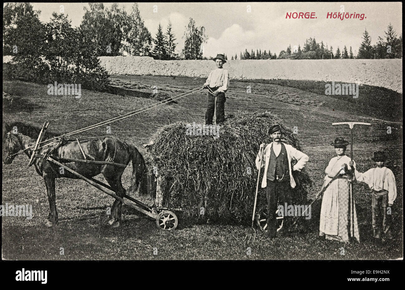 This Norwegian postcard image captures rural life, showing farmers ...