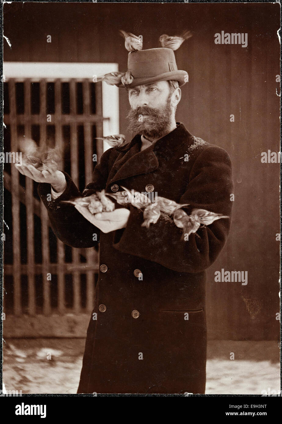 Portrett av Robert Collett (1842-1913) / Portrait of Robert Collett ...