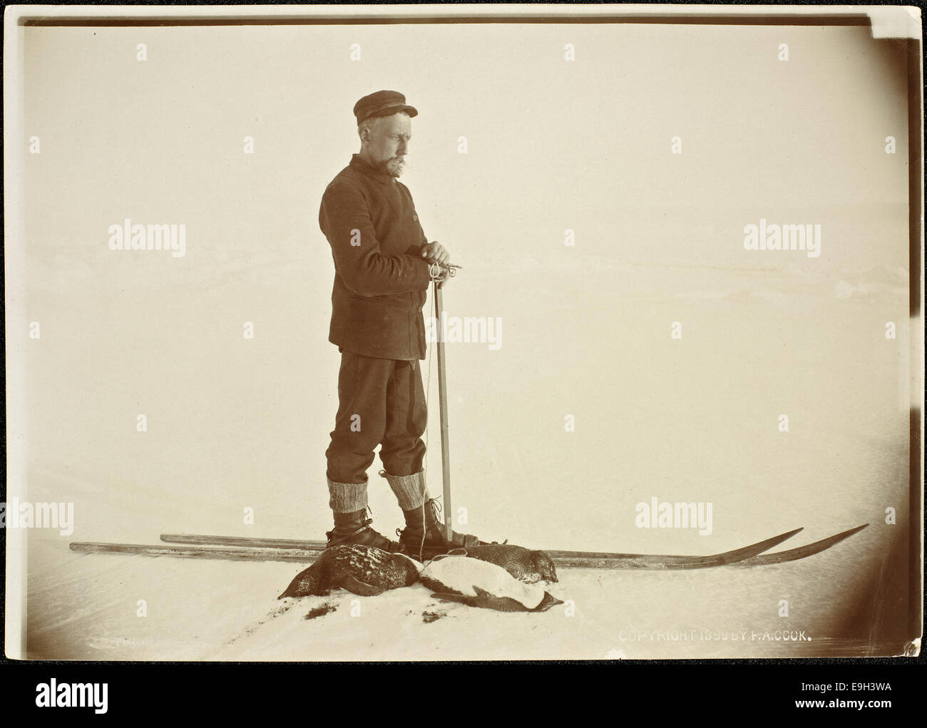 Roald Amundsen in Antarctica with three penguins he captured during the ...
