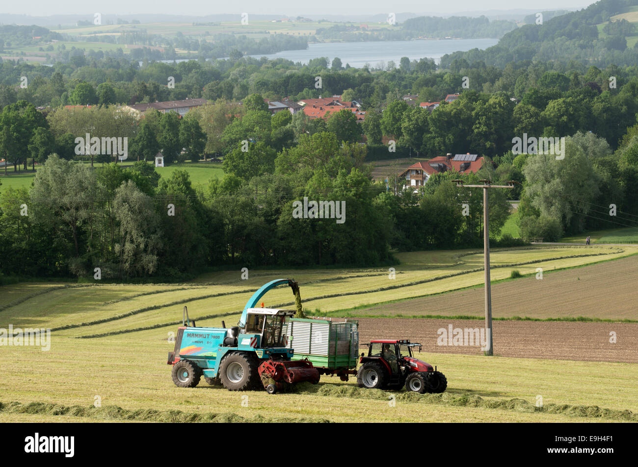 Grassland being harvested for cattle feed on a farm in Waging am see ...