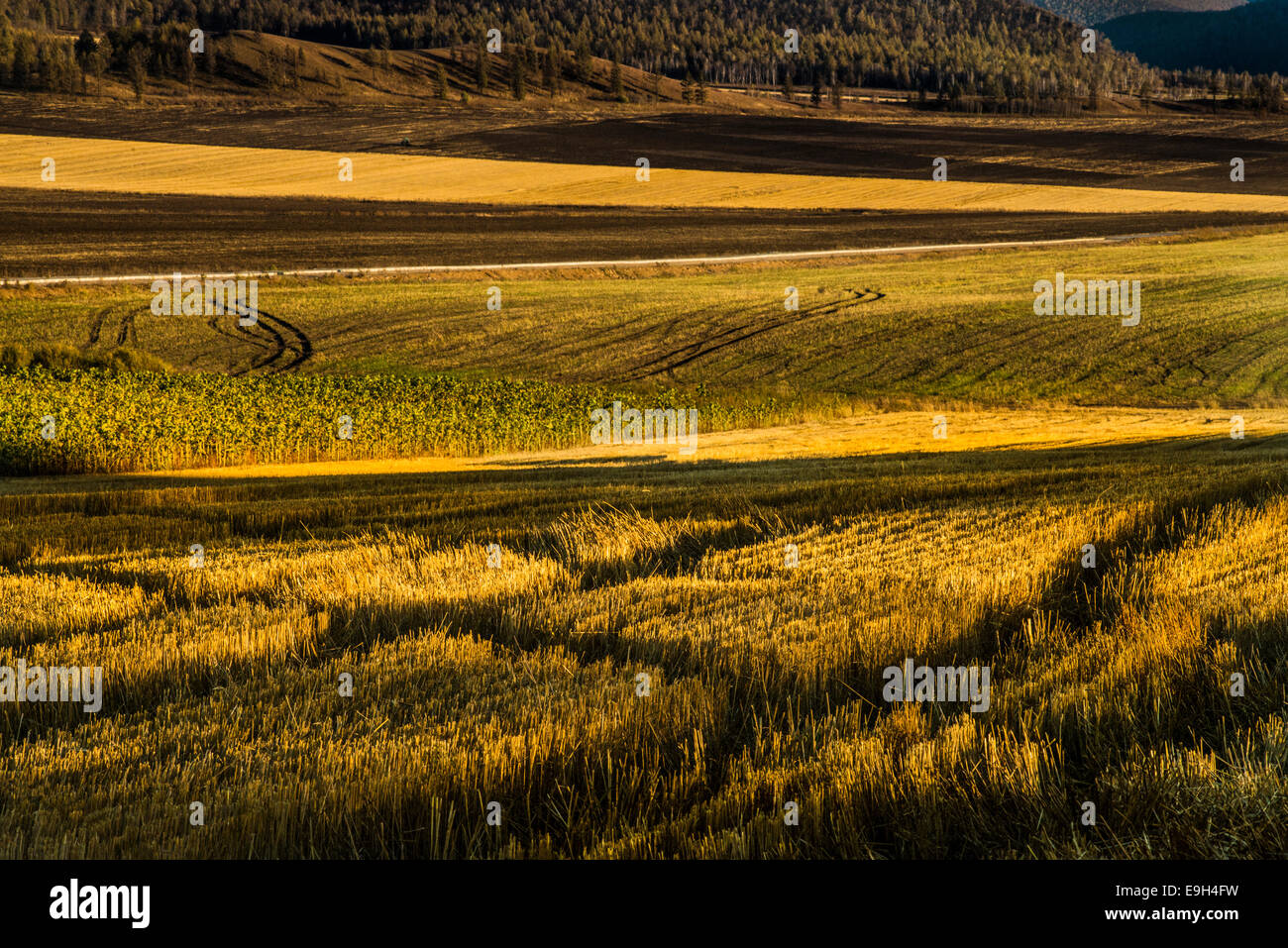 Yellow plain china hi-res stock photography and images - Alamy