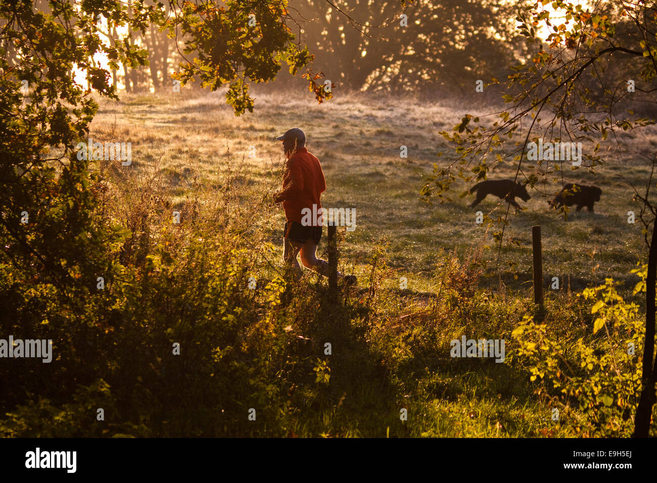 Paul hampstead hi-res stock photography and images - Alamy