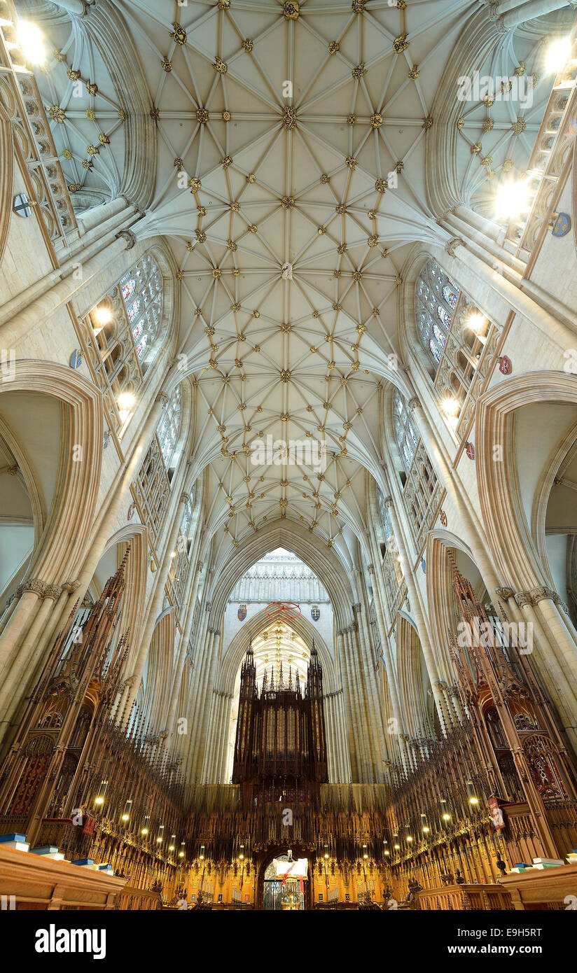 Net vault architecture hi-res stock photography and images - Alamy
