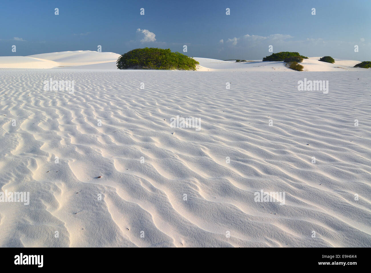 Undulating desert landscape hi-res stock photography and images - Alamy