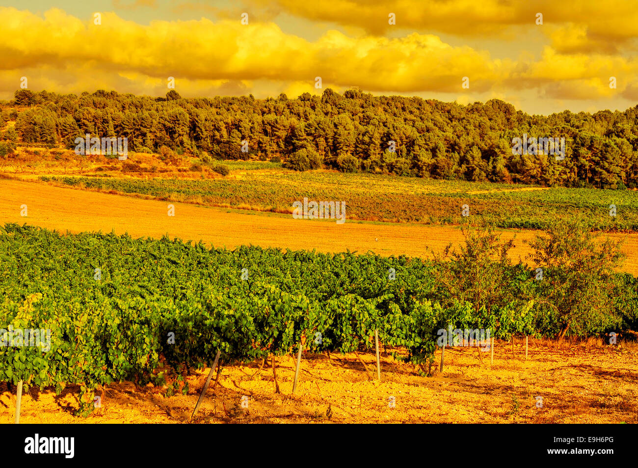 Vintage mediterranean farming hi-res stock photography and images - Alamy