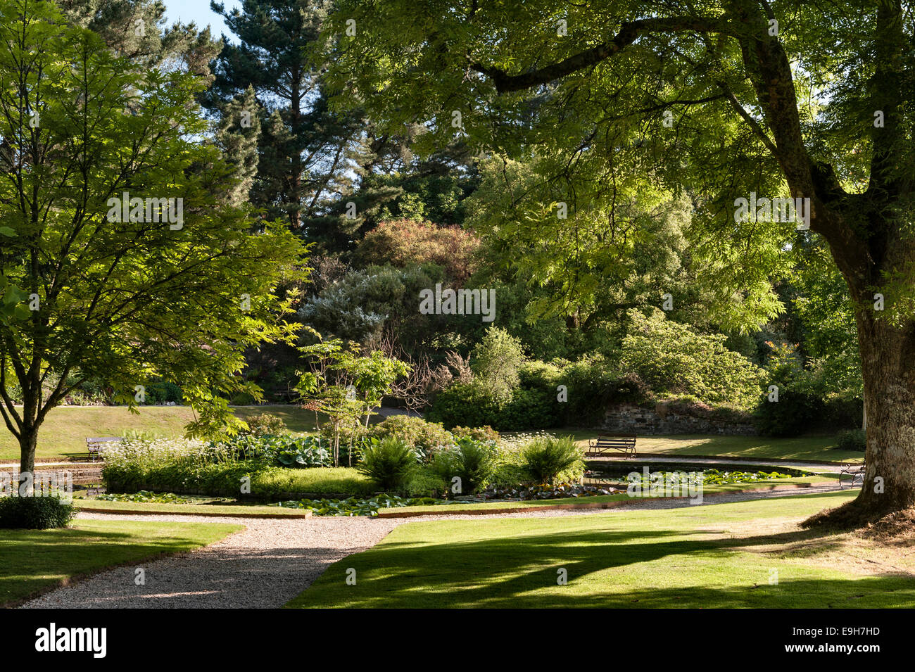 Cotehele, Saltash, Cornwall, UK. The pond in the Upper Garden Stock ...